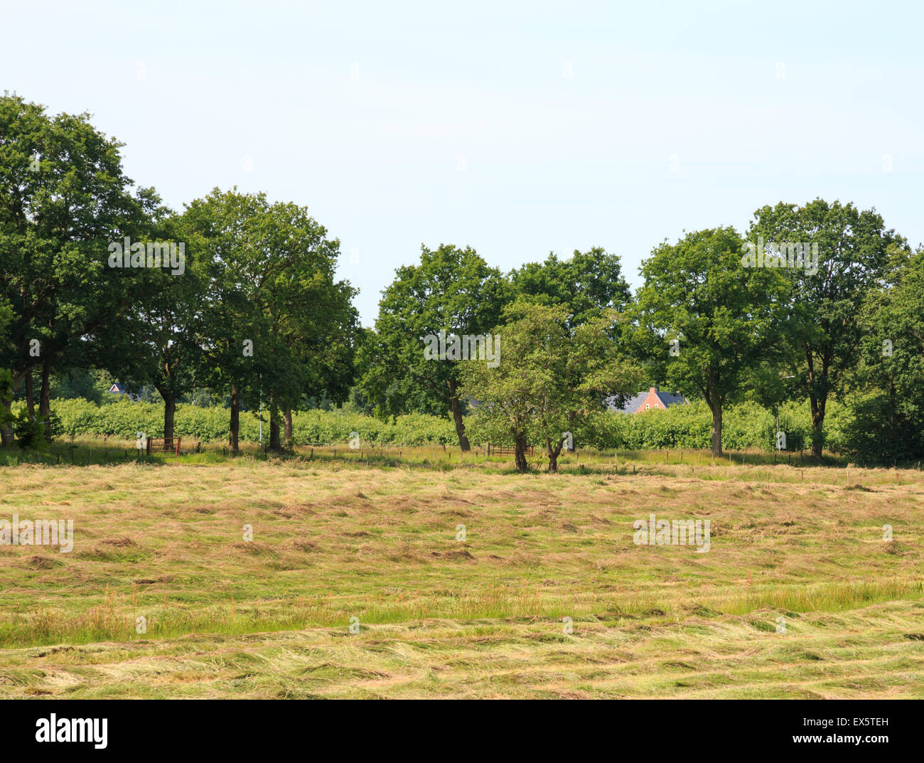 Rural setting hi-res stock photography and images - Alamy