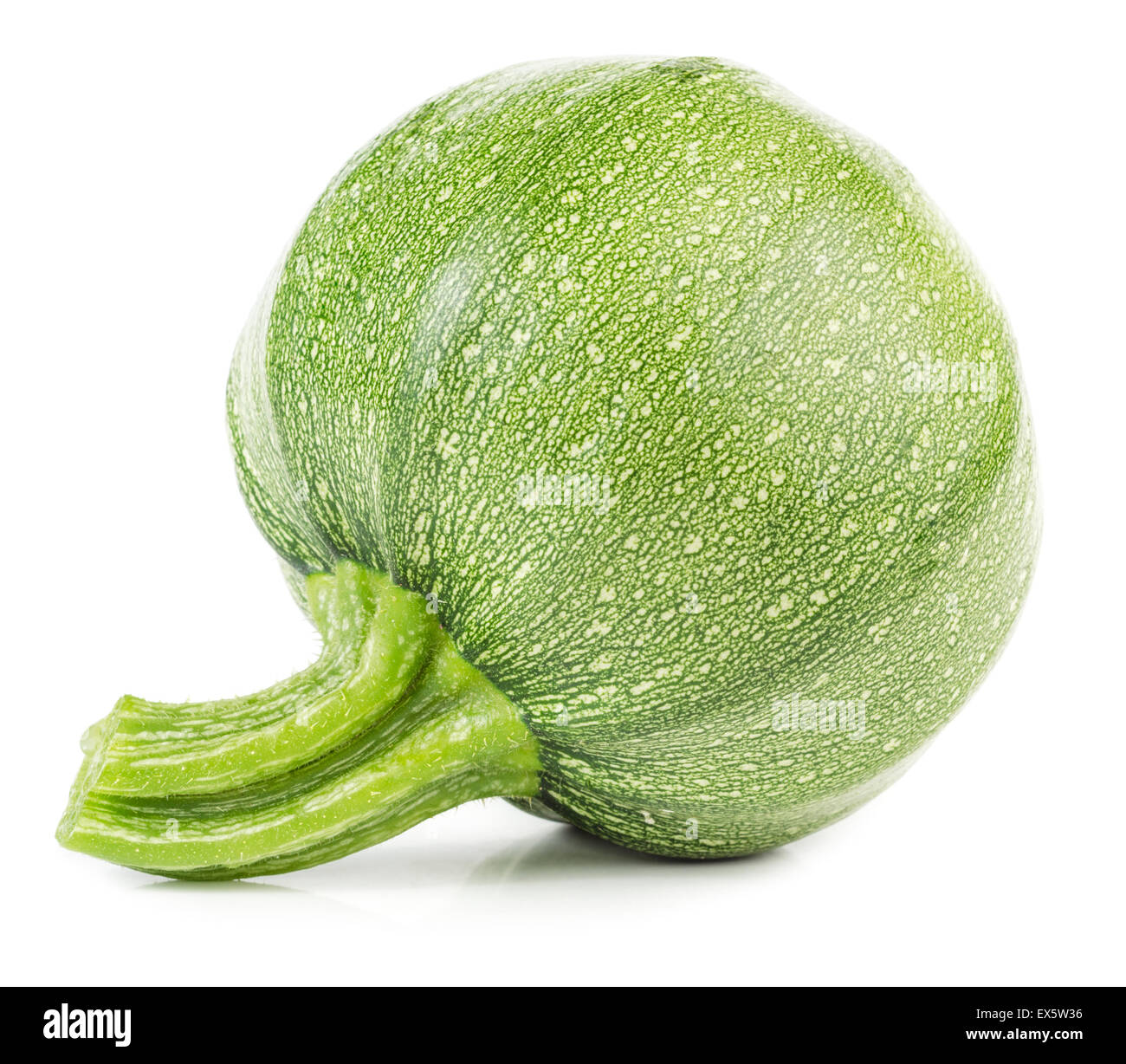 Raw round vegetable marrow isolated on white background. Zucchini ...