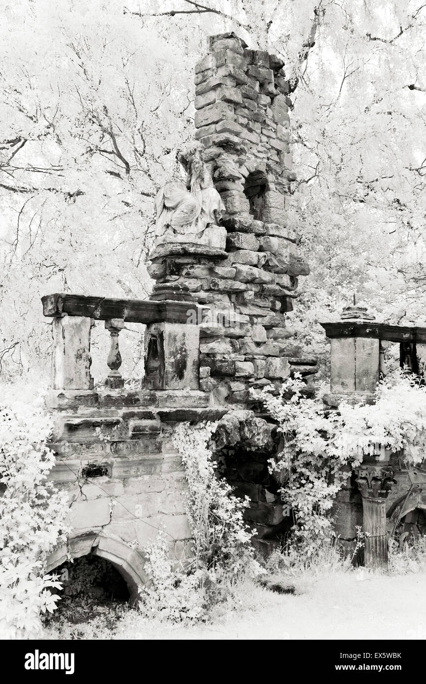 Black and white photograph of English parkland Cannock Chase AONB Area ...