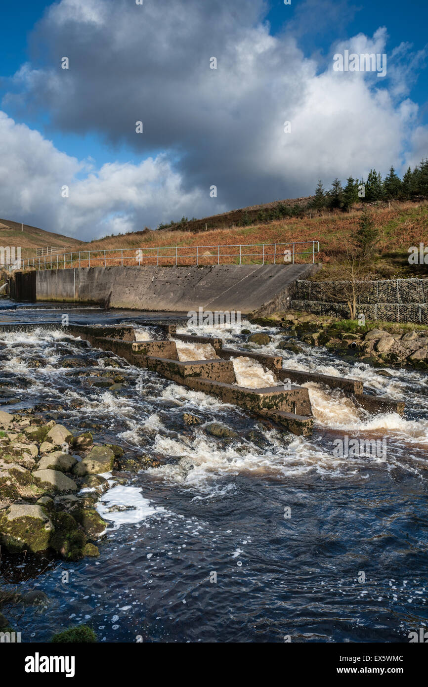 Fish ladder River Dunsop Stock Photo - Alamy