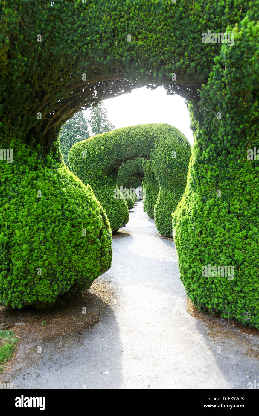 Yew arch hedge hi-res stock photography and images - Alamy