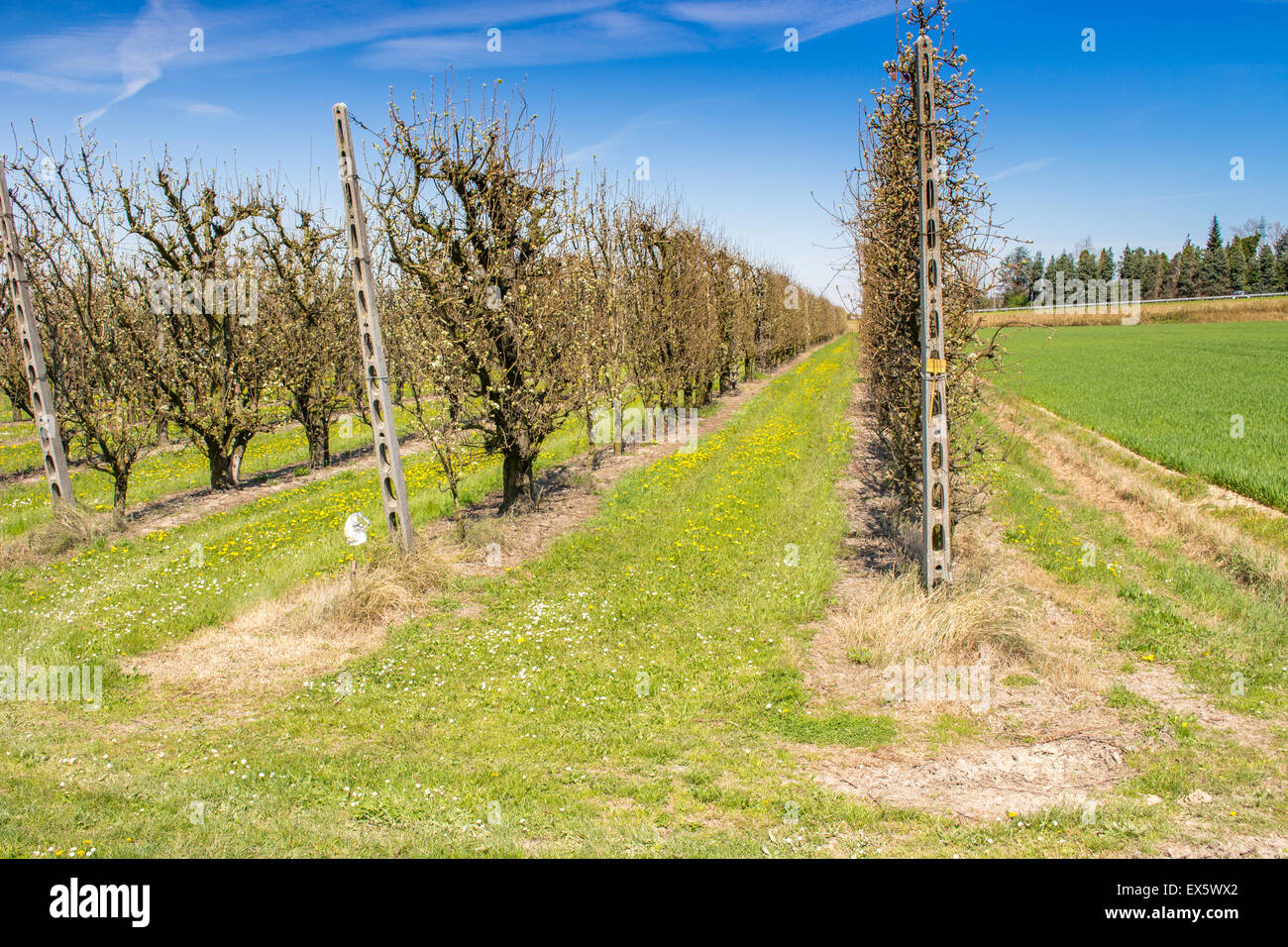 Modern agriculture hi-res stock photography and images - Alamy