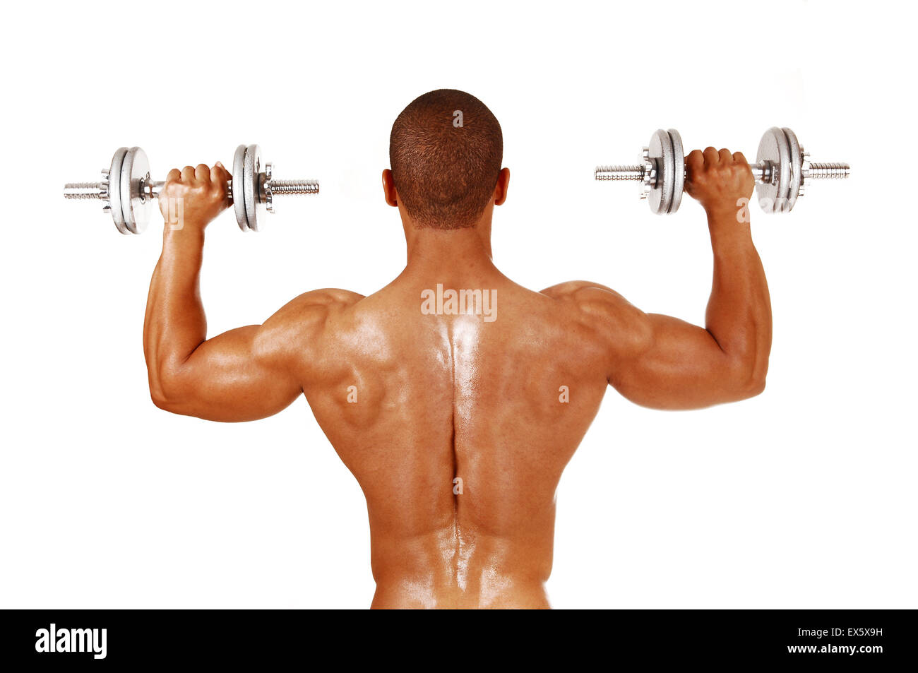 A picture from the back of a young bodybuilder, lifting two silver ...