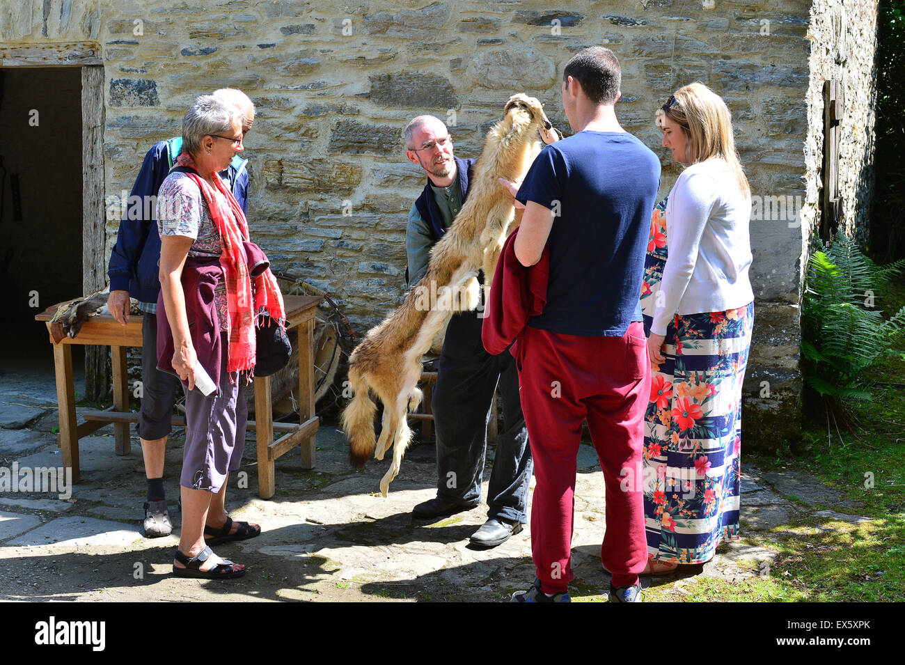 Colonial America fur trader enactor showing wolf pelt to visitors at ...