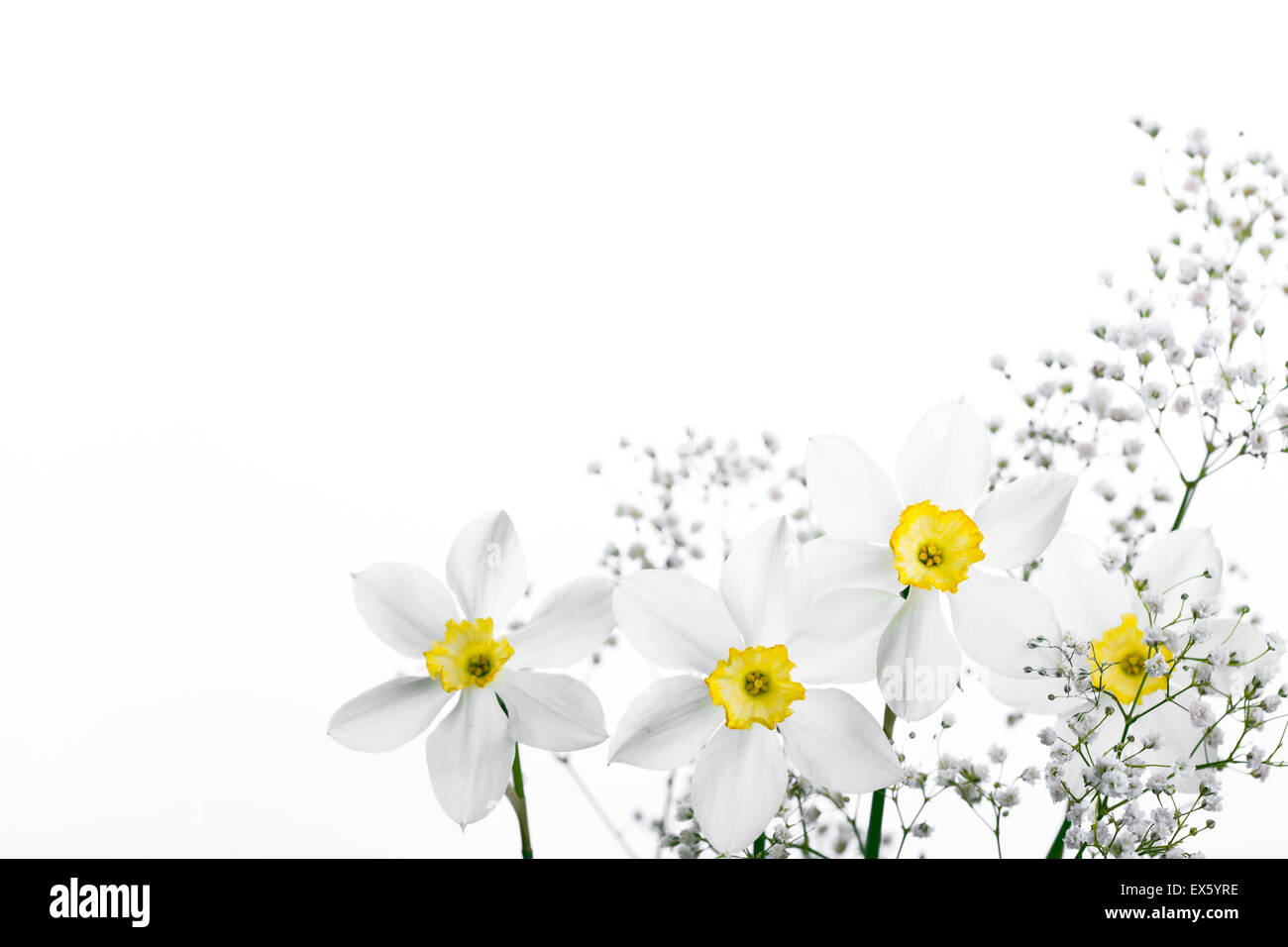 Floral border yellow hi-res stock photography and images - Alamy