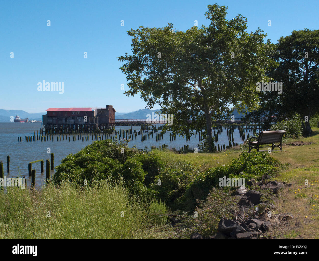 Astoria, Oregon, USA. Astoria waterfront where hundreds of pilings ...