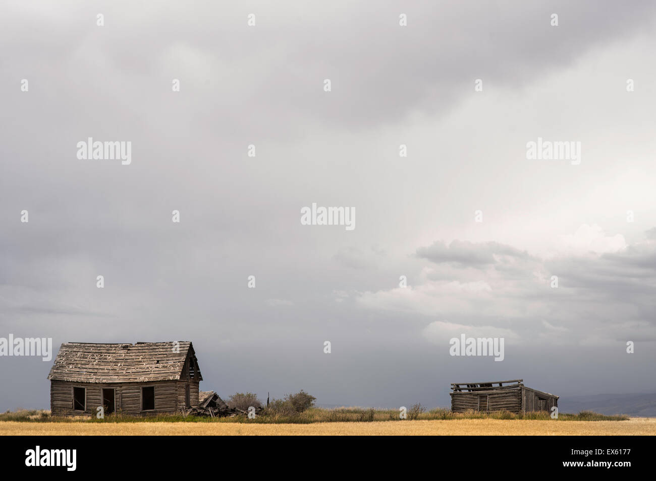 Abandoned shack hi-res stock photography and images - Alamy