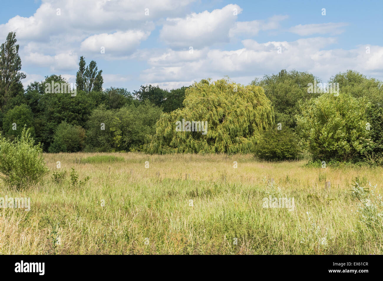 The beautiful Countryside in Bedford Stock Photo - Alamy
