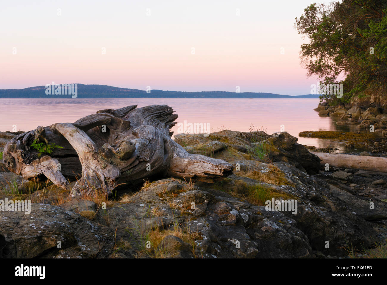 Sunset At Yellow Point Stock Photo - Alamy