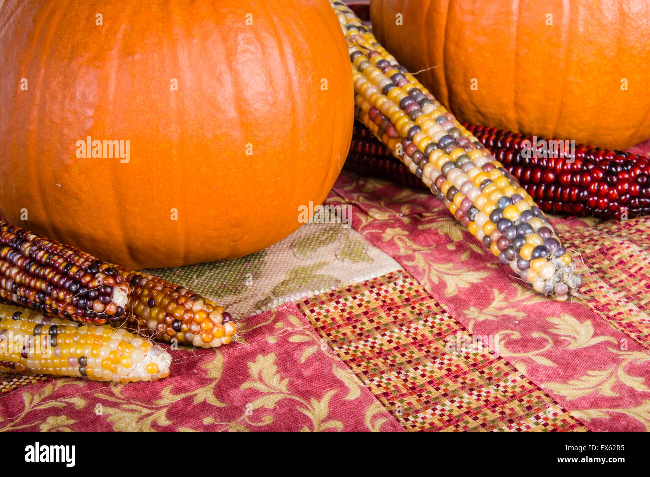 Fall display of harvested orange pumpkins and Indian Corn Stock Photo ...
