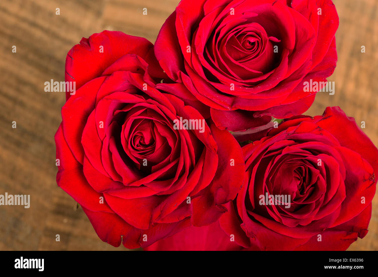 Overhead of three bright red roses Stock Photo - Alamy