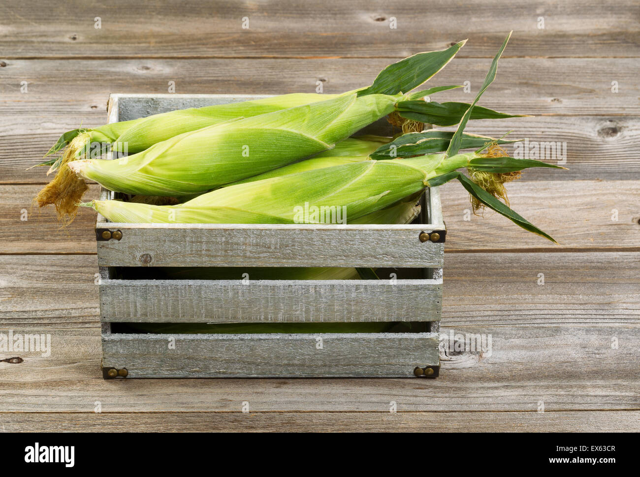 Vintage wooden crate filled with freshly picked corn on rustic wood ...