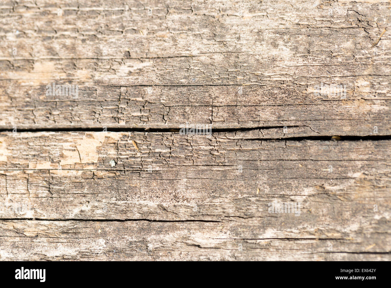 Brown wood texture. Abstract background, empty template Stock Photo - Alamy Brown wood texture. Abstract background, empty template Stock Photo - Alamy