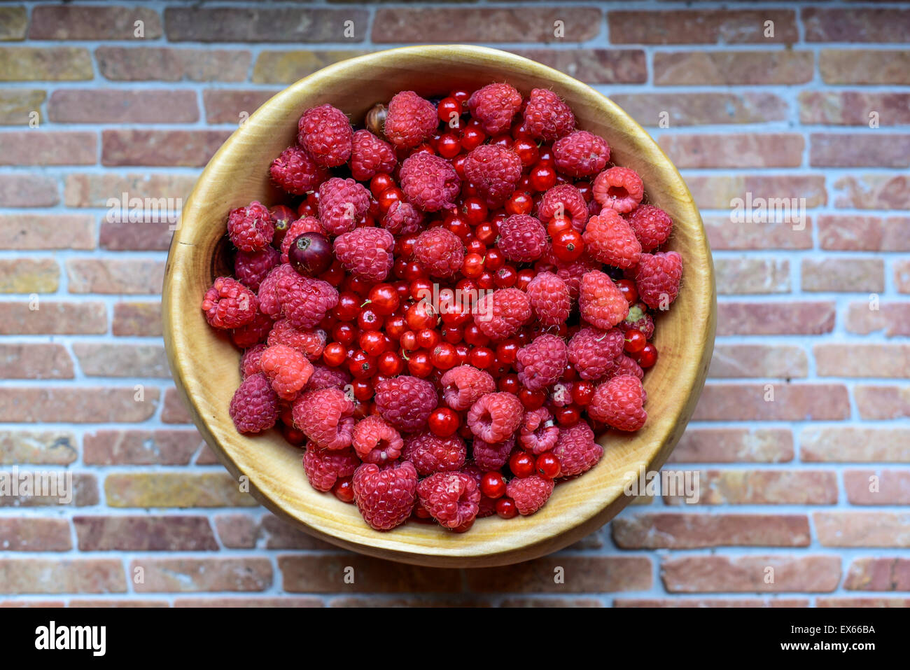 Ribisel garten hi-res stock photography and images - Alamy