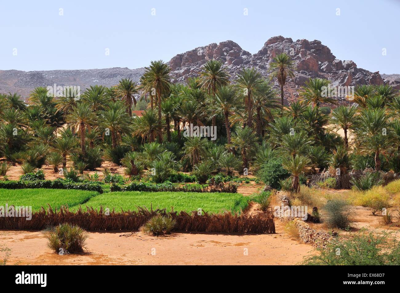 Tagant region hi-res stock photography and images - Alamy