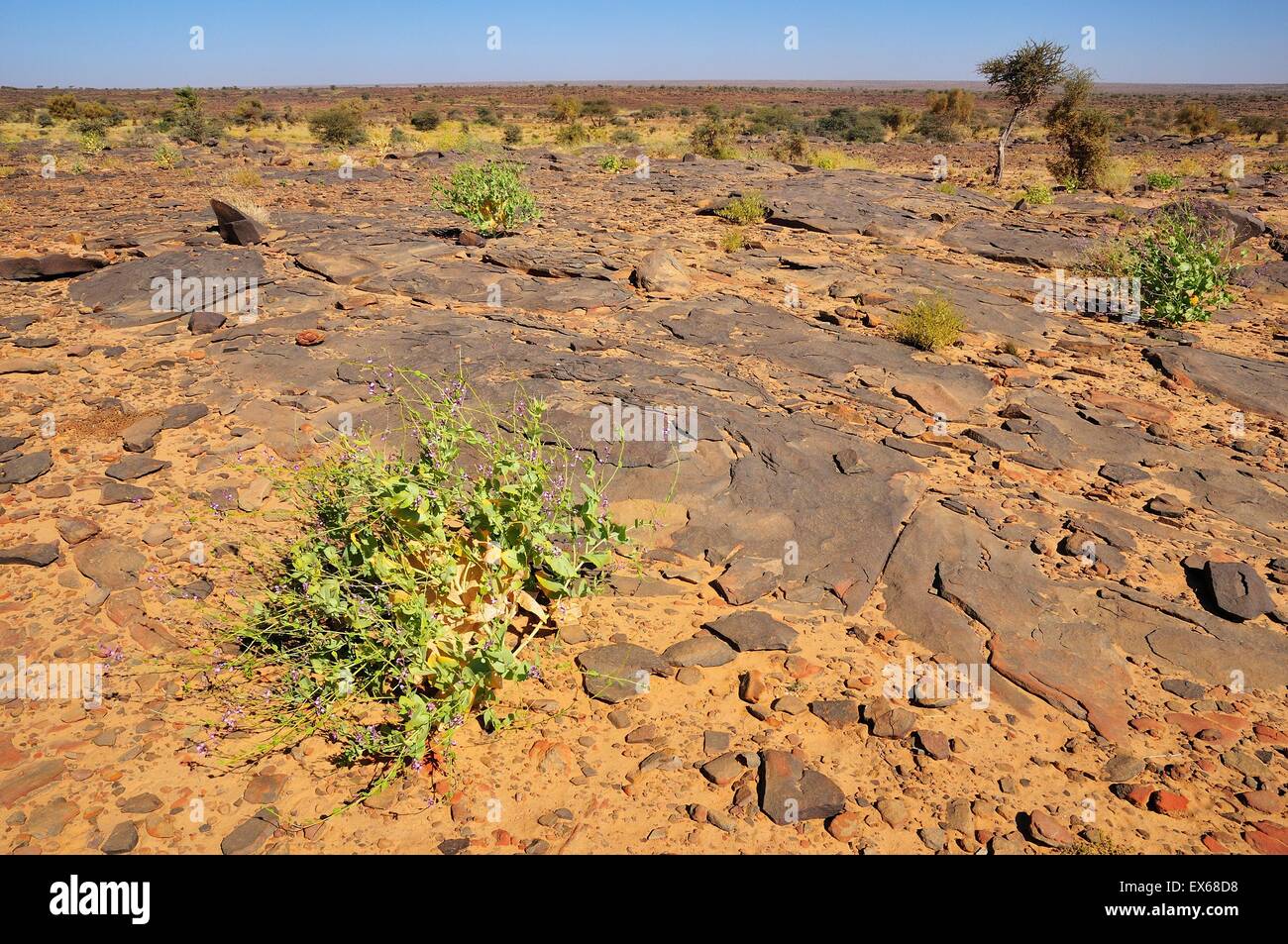 Adrar highlands hi-res stock photography and images - Alamy