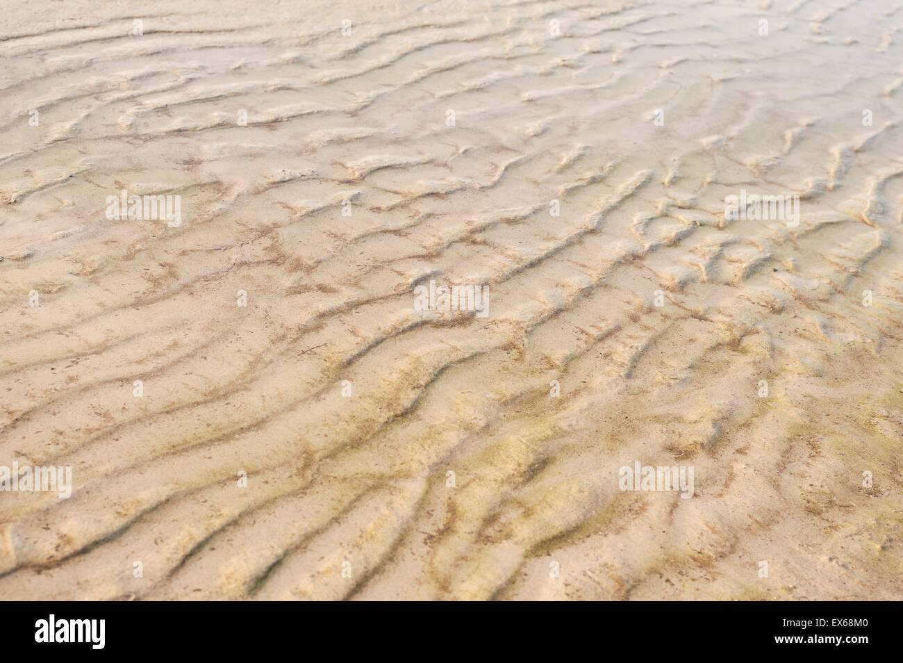 Pattern for design, texture of sand Stock Photo - Alamy