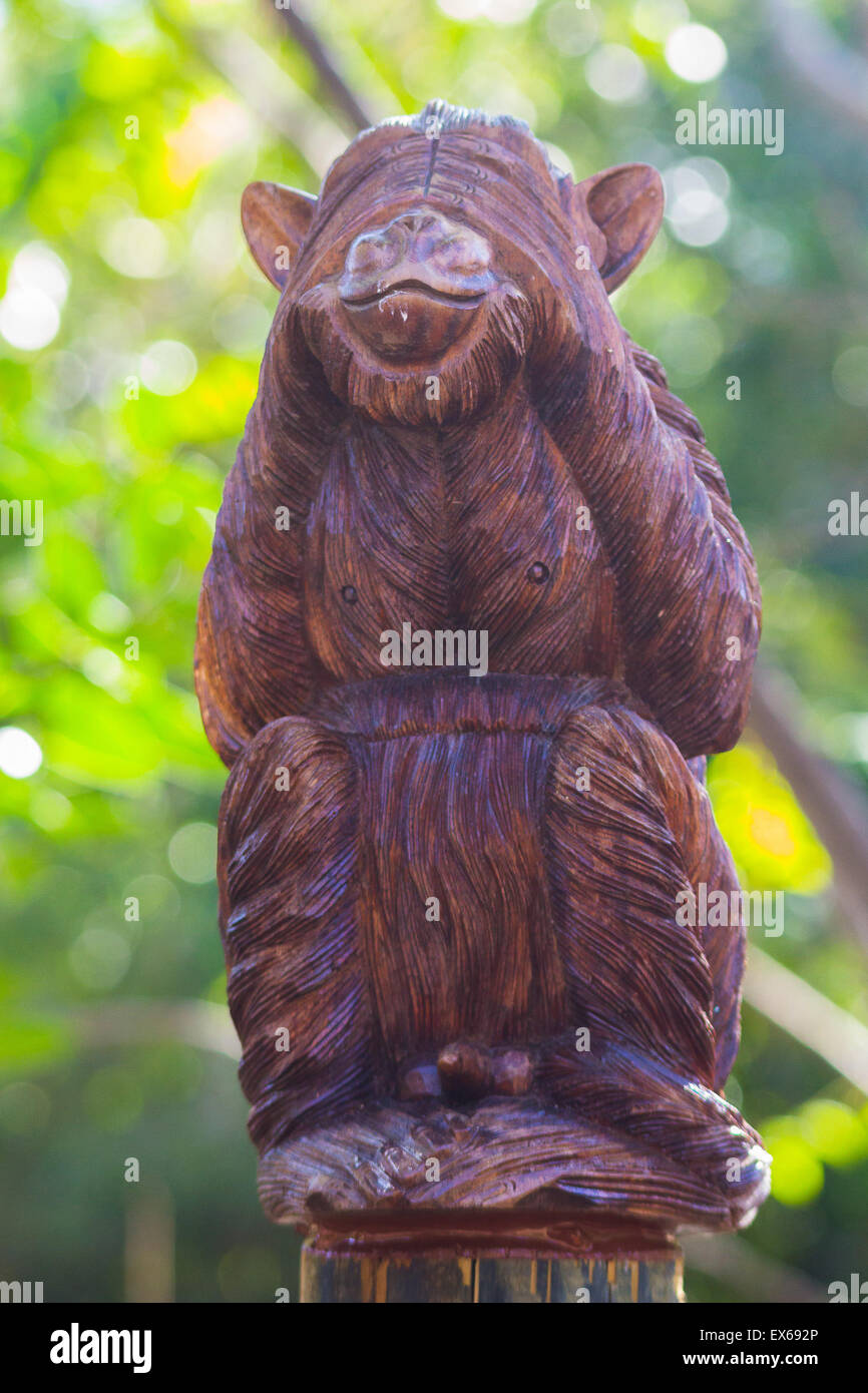 Monkeys eyes hi-res stock photography and images - Alamy