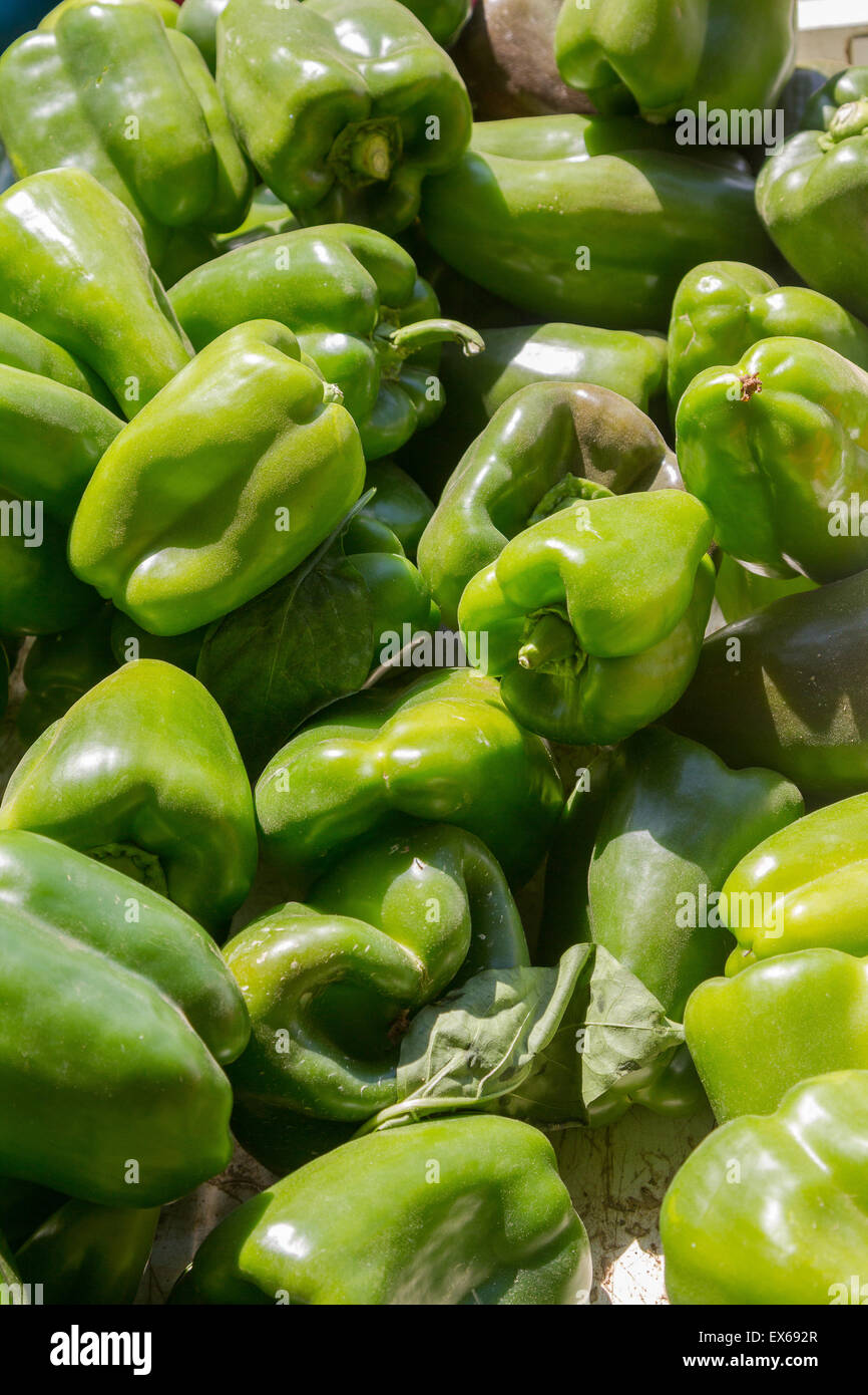 Capsicum fresh green peppers and red flowers Stock Photo - Alamy
