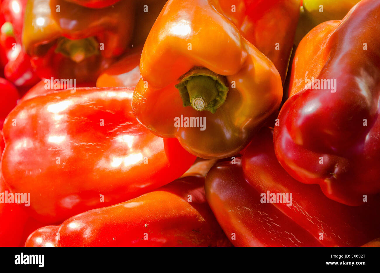 Capsicum Fresh red peppers Stock Photo - Alamy