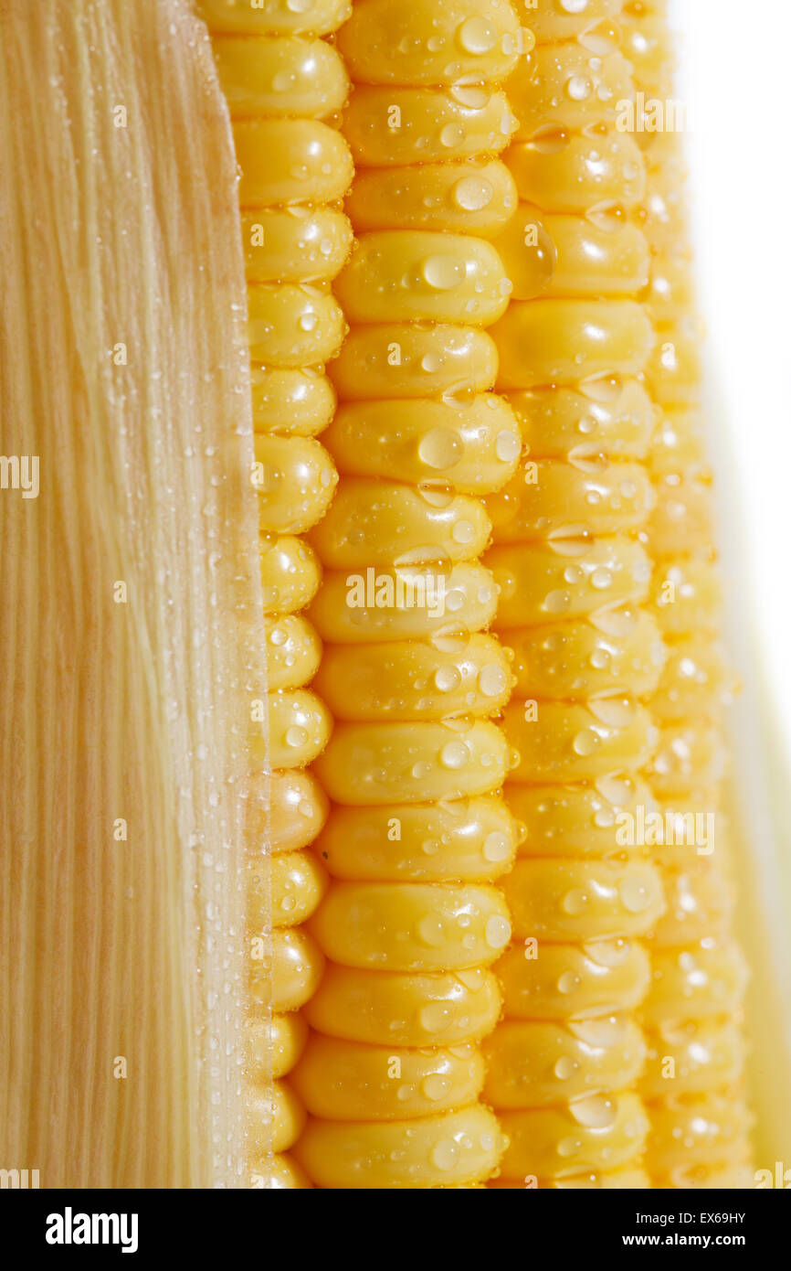 Type corn hi-res stock photography and images - Alamy