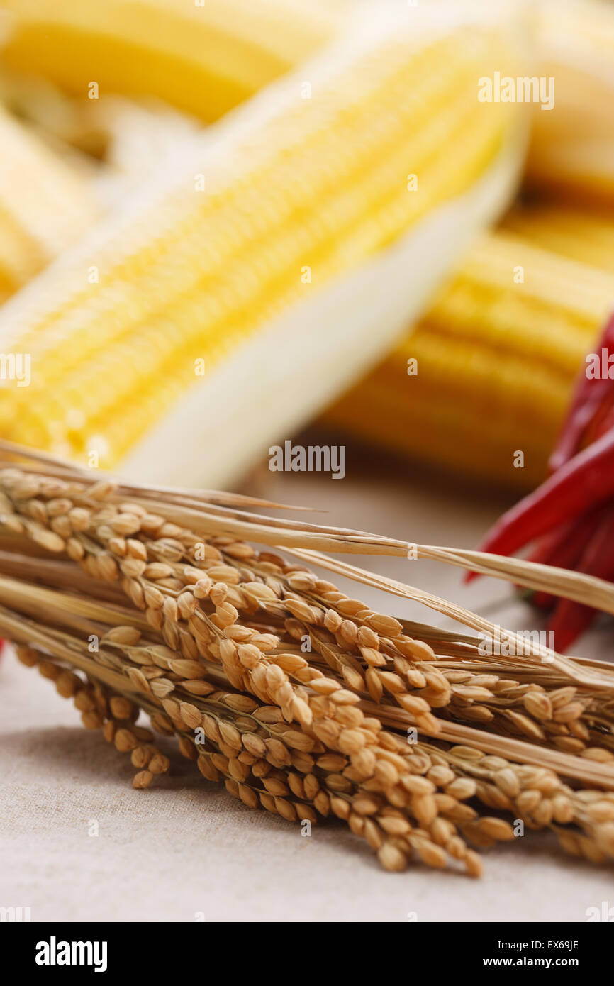Still life of crops Stock Photo - Alamy