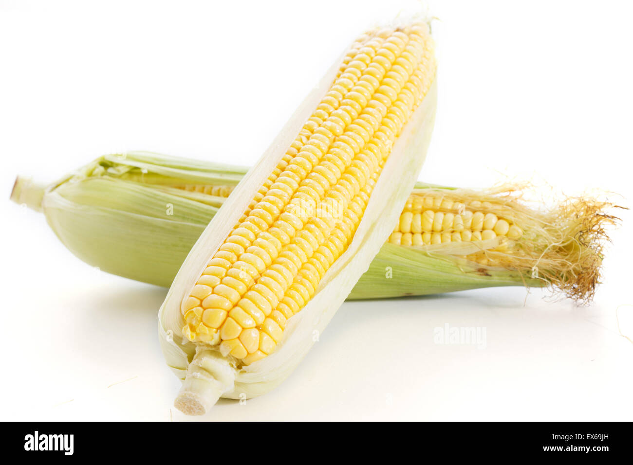 Close up horizontal shot corn hi-res stock photography and images - Alamy