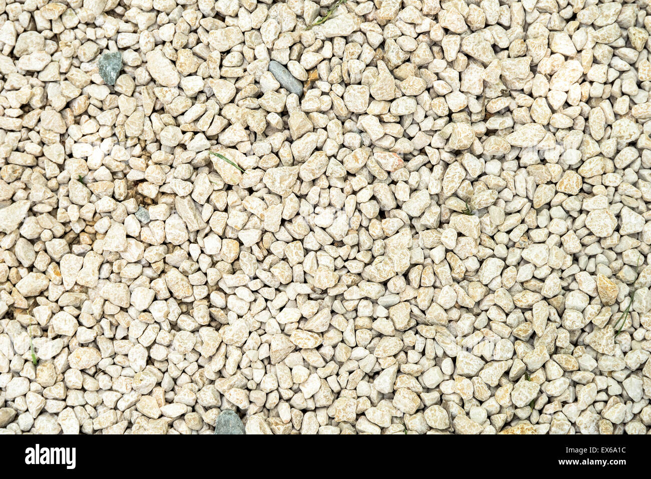 Seamless texture with pebbles hi-res stock photography and images - Alamy