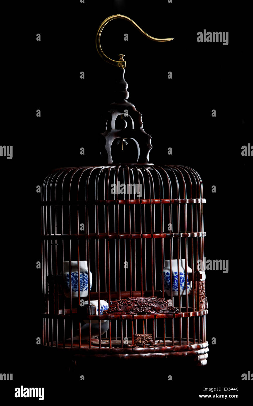 Bird in a birdcage Stock Photo - Alamy