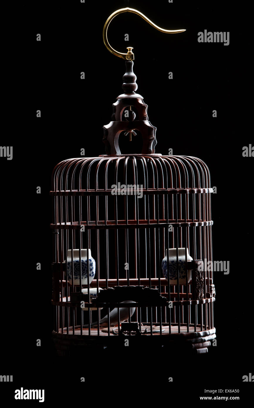 Bird in a birdcage Stock Photo - Alamy