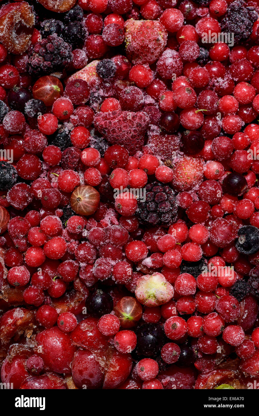 Bio Gartenernte, Beerenobst, Kirschenhälften, tiefgefroren, nahe Wien ...