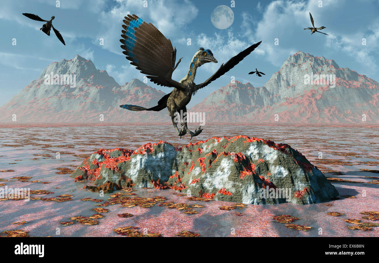 Archaeopteryx hi-res stock photography and images - Alamy