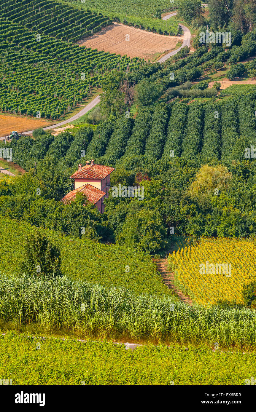 Italy Piedmont Langhe World Heritage Barolo landscape with vineyards ...