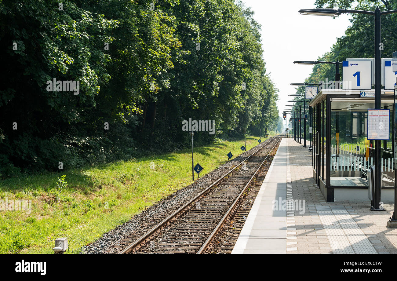 railroad track near train station with green forest at the left side ...