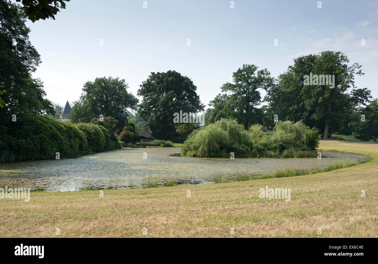 Water border plants hi-res stock photography and images - Alamy