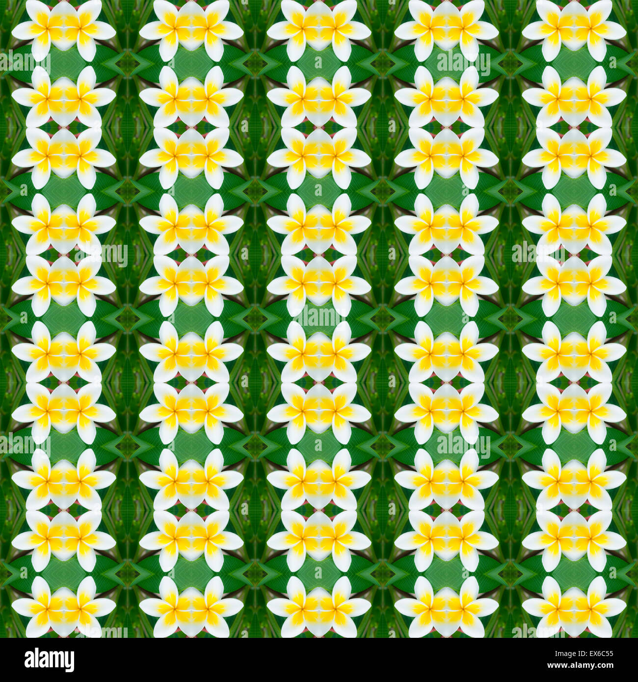 Seamless pattern for design, Close-up from flower Stock Photo - Alamy