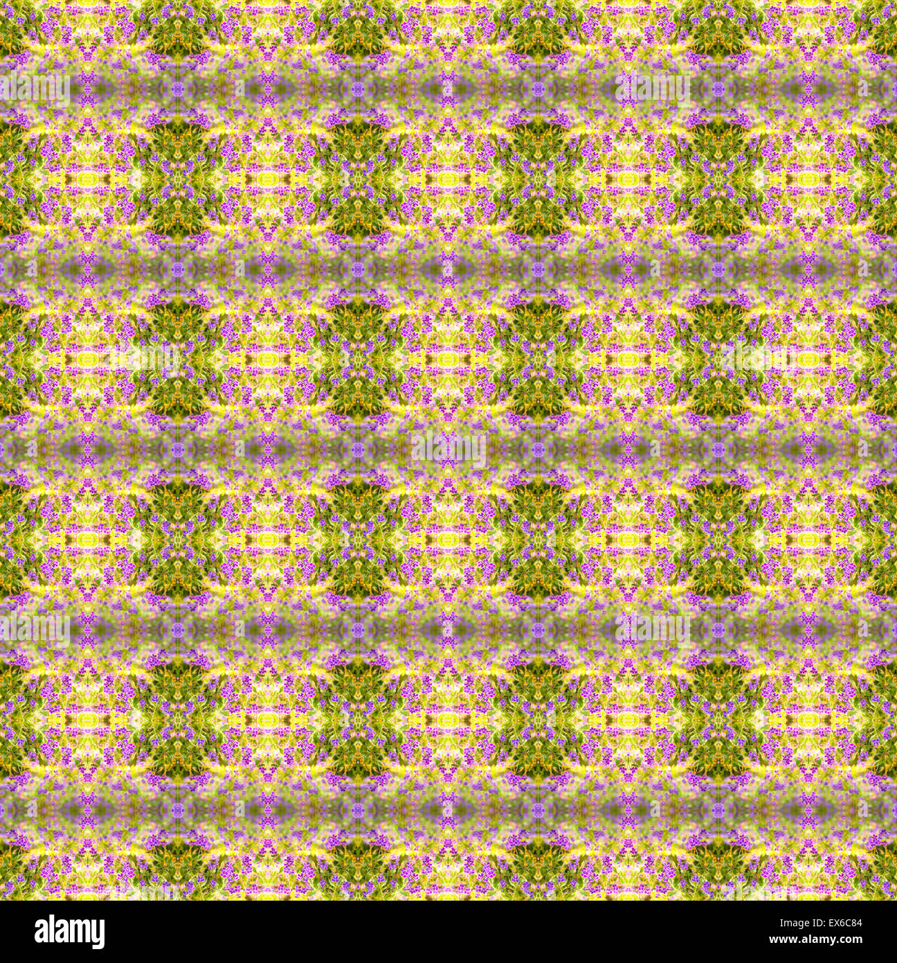 Seamless pattern for design, Close-up from flower Stock Photo - Alamy
