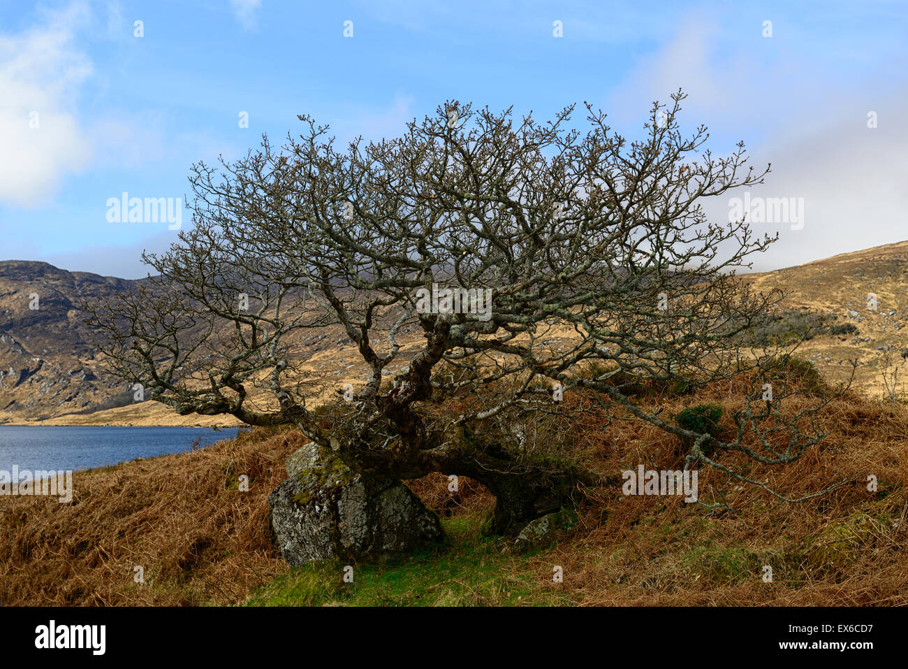 Lough Veagh Glenveagh National Park Donegal scenery scenic landscape ...