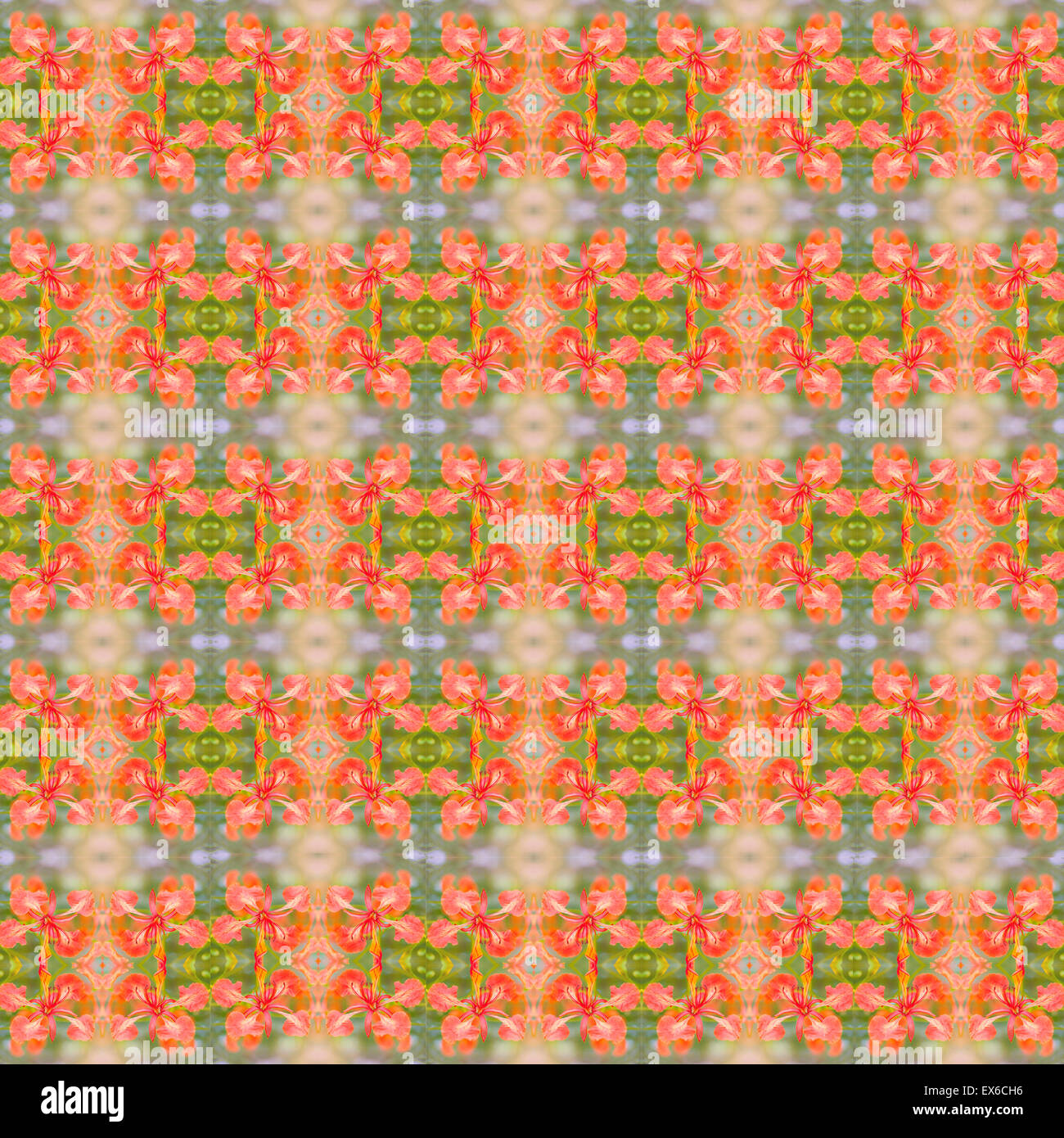 Seamless pattern for design, Close-up from flower Stock Photo - Alamy