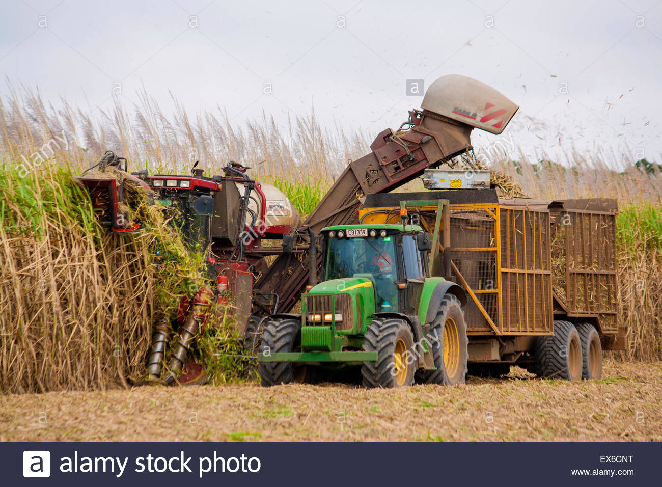 Sugar Cane Harvester Stock Photos & Sugar Cane Harvester Stock Images ...
