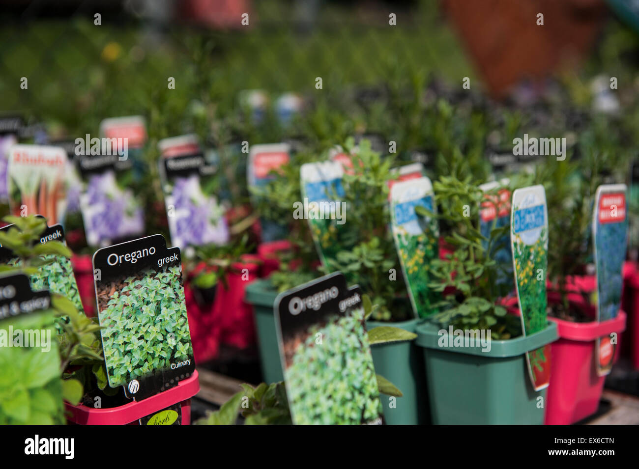 Ceres Environment Park in Melbourne, Australia Stock Photo - Alamy