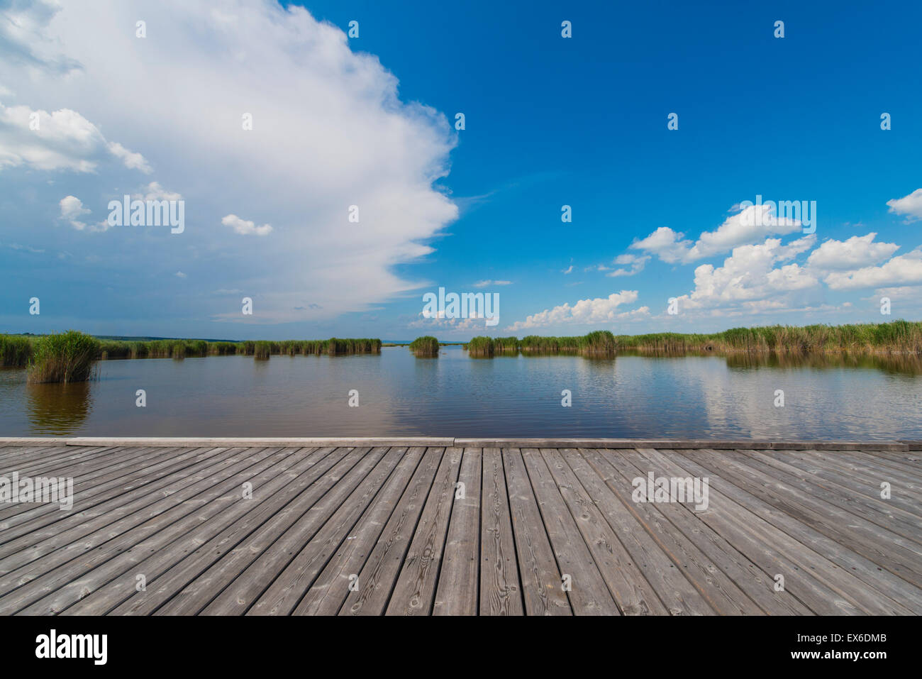 Erstaunlich Mrbisch Am See Bild