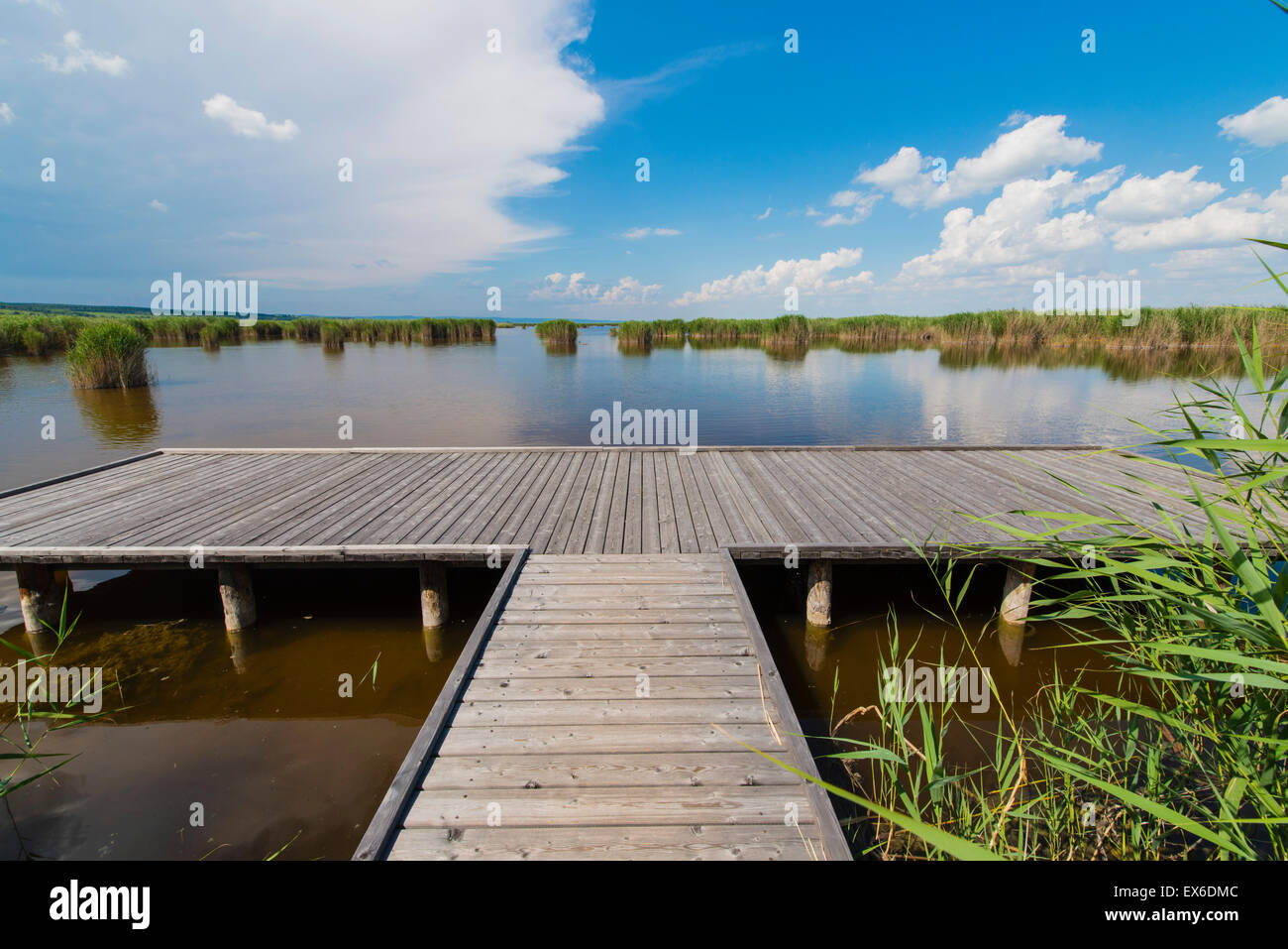 Erstaunlich Mrbisch Am See Bild