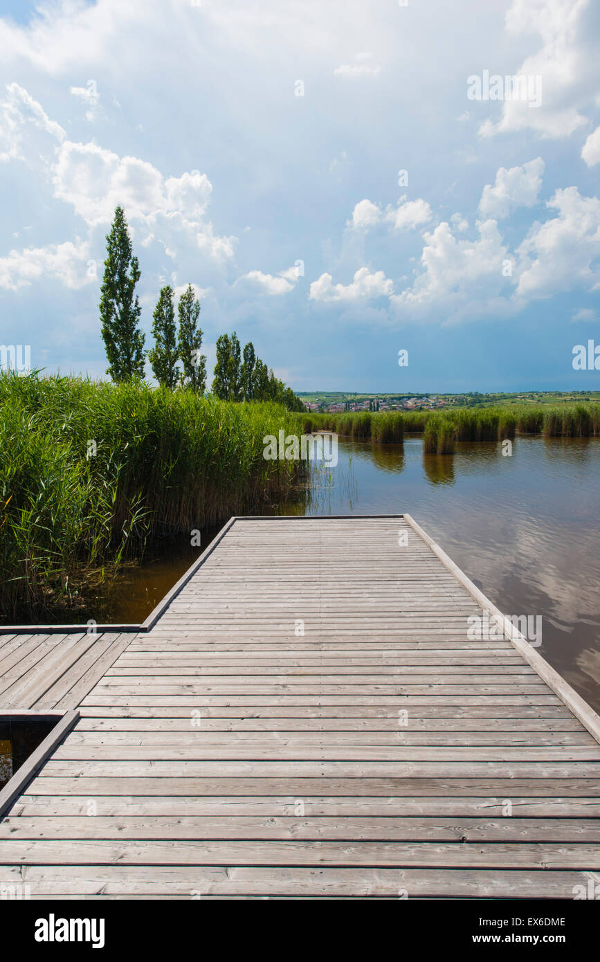 Erstaunlich Mrbisch Am See Bild