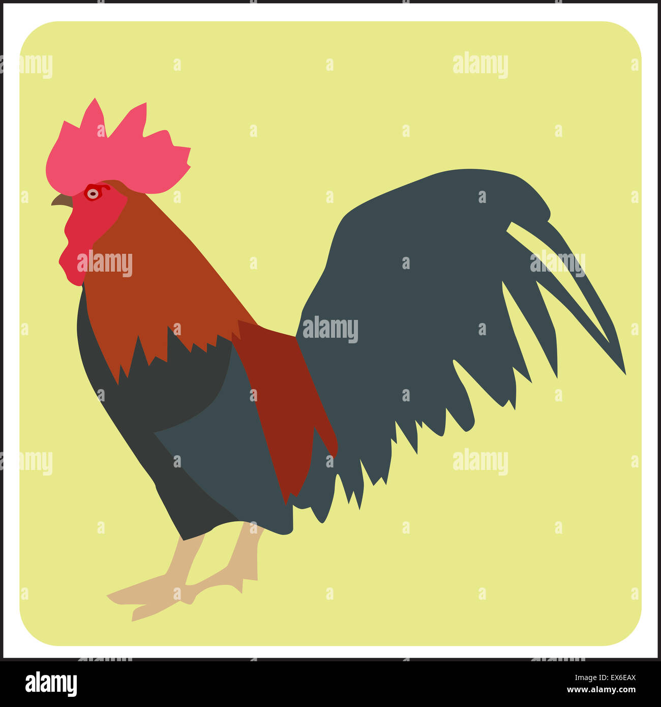 Illustration of bantam Stock Photo - Alamy