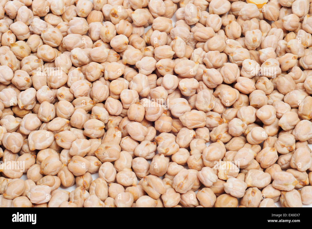 Ceci Beans High Resolution Stock Photography and Images - Alamy