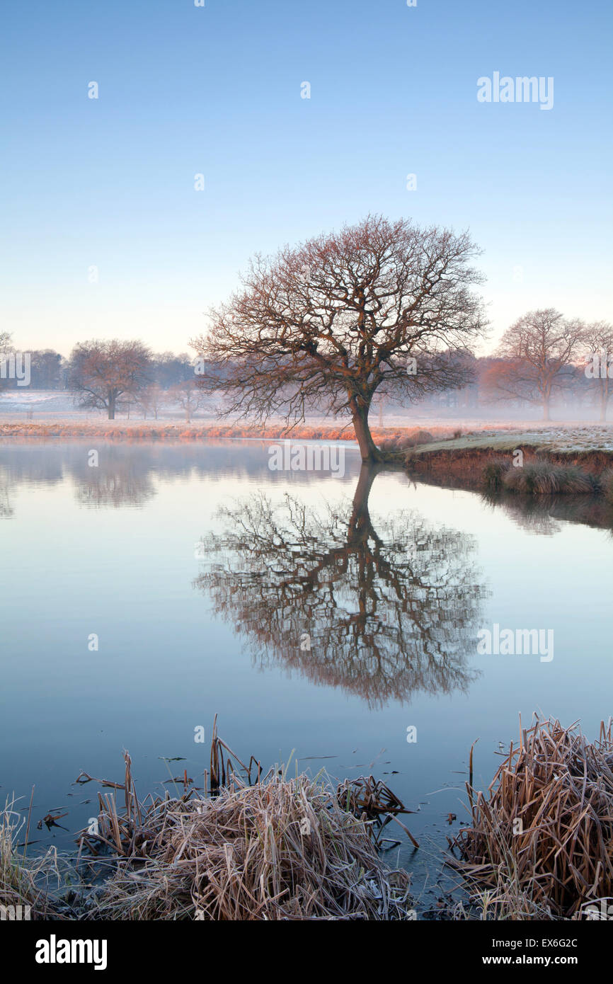 Tatton park hi-res stock photography and images - Alamy