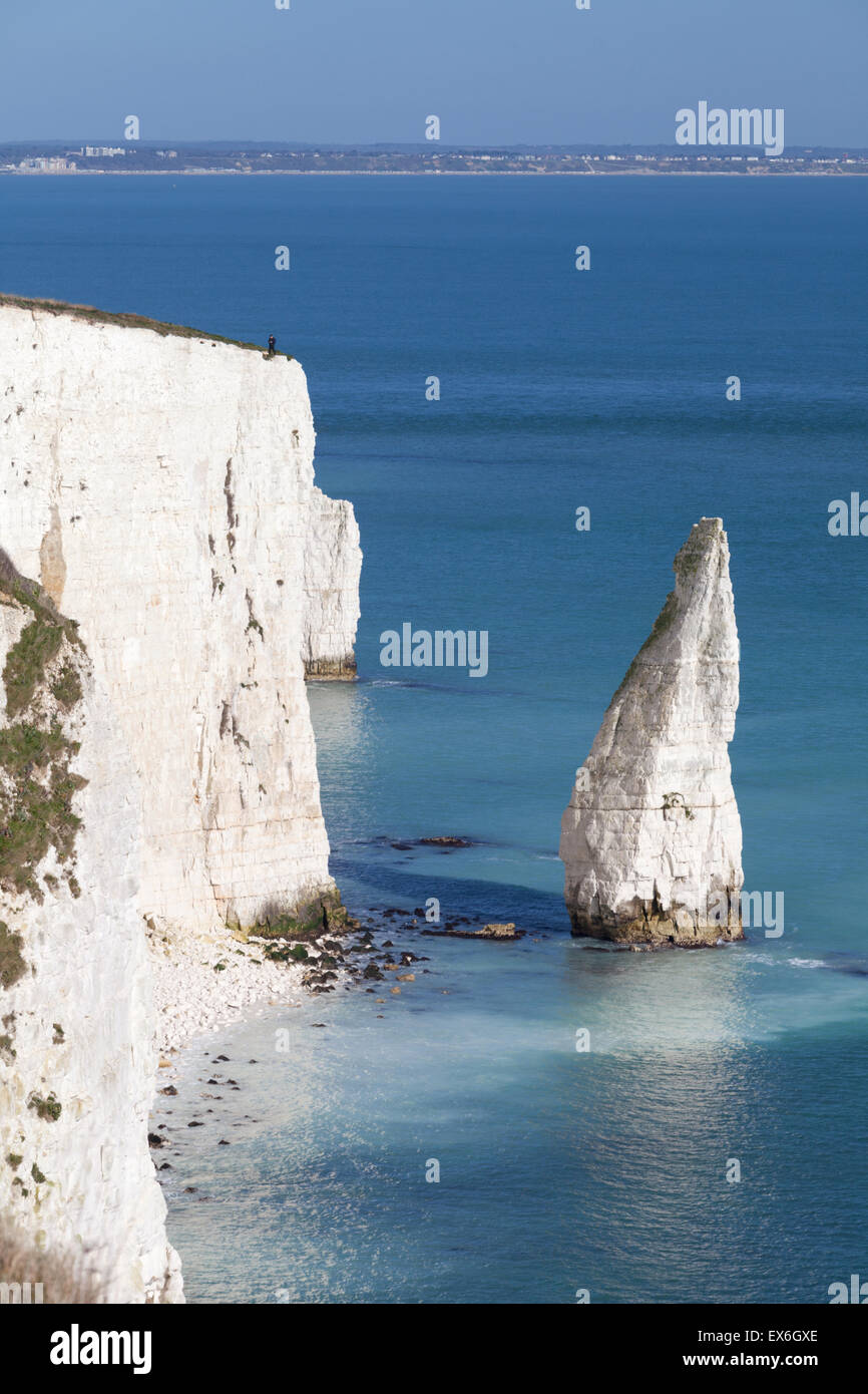Old Harry Rocks Chalk cliffs dorset Stock Photo - Alamy