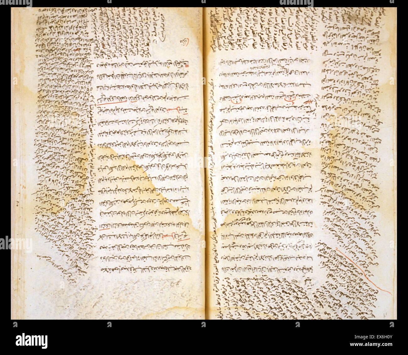 The central text consists of the anatomical sections of the Canon of ...