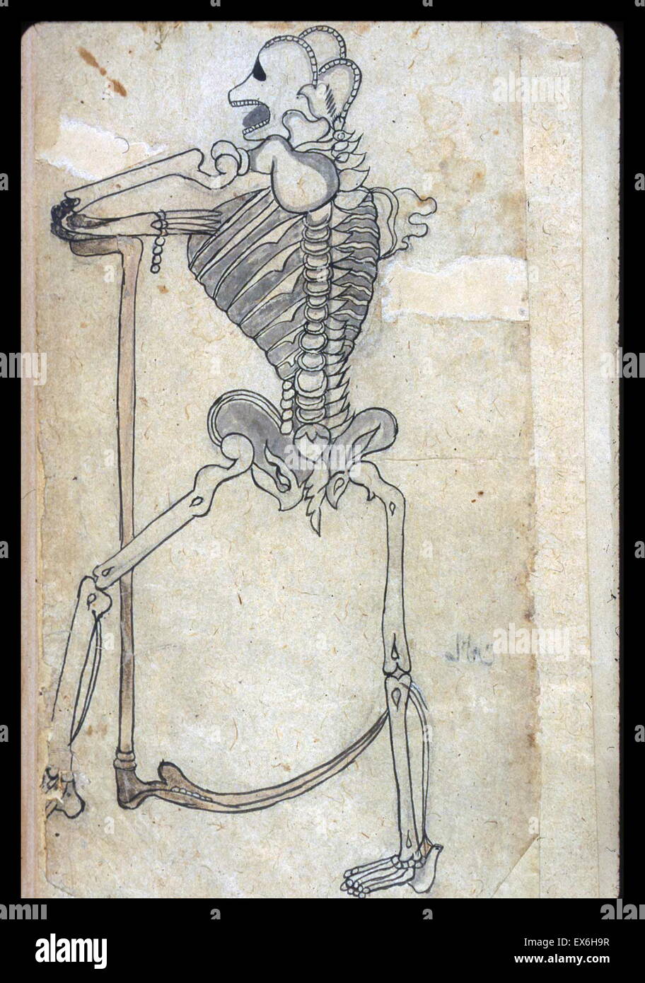 anatomical drawing from Tibb al-Akbar (Akbar's Medicine) by Muhammad ...